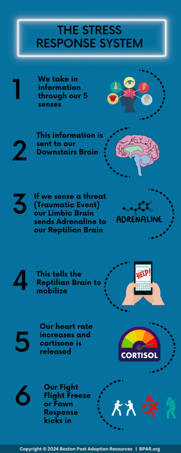 Adoption Trauma – Part 1: What is Adoption Trauma? - Boston Post ...